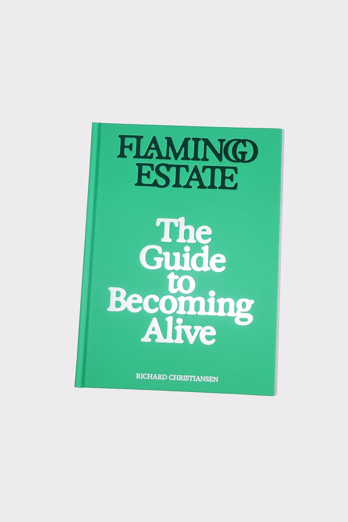 The Guide to Becoming Alive – Recital